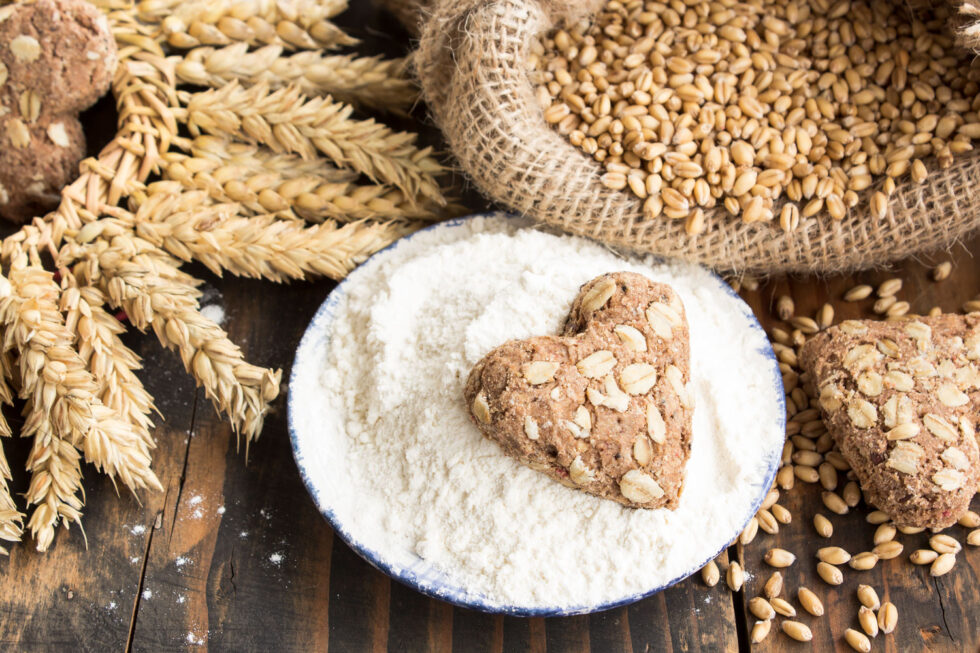 Homepage - Modersohn Bread