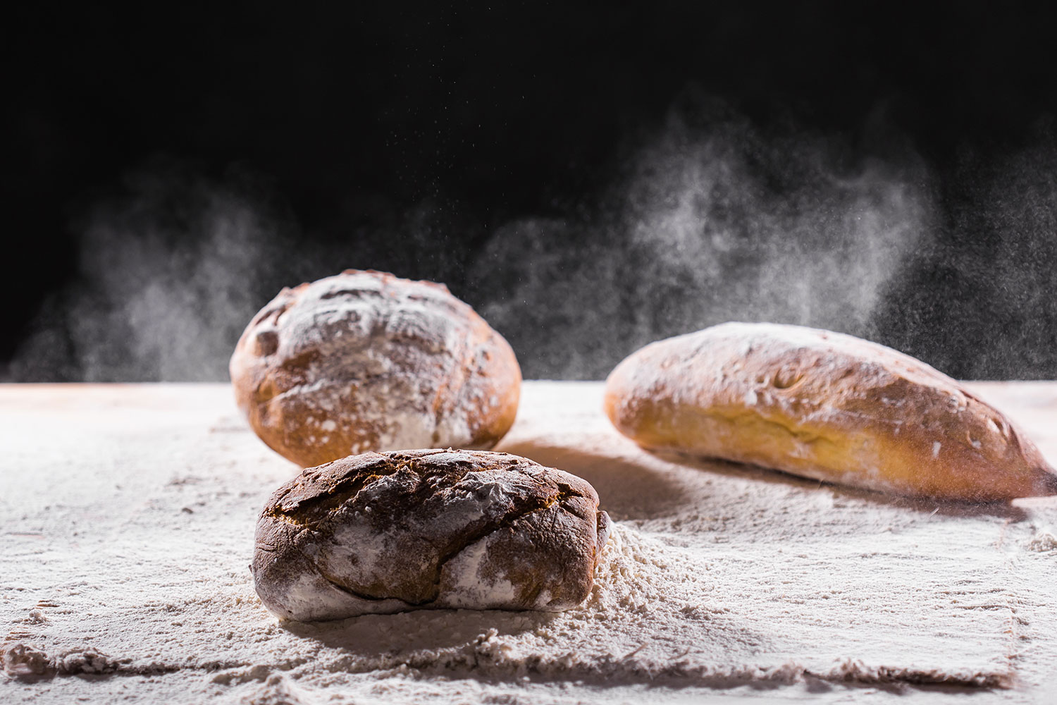 About Modersohn - Modersohn Bread